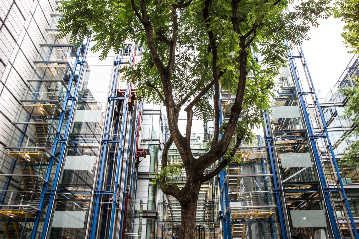 New Offices! - Citynet